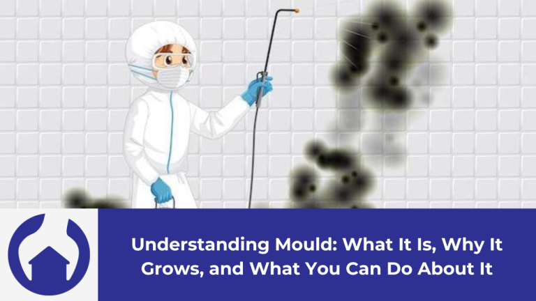 What Causes Mould in Homes and Why a Mould Inspection Matters